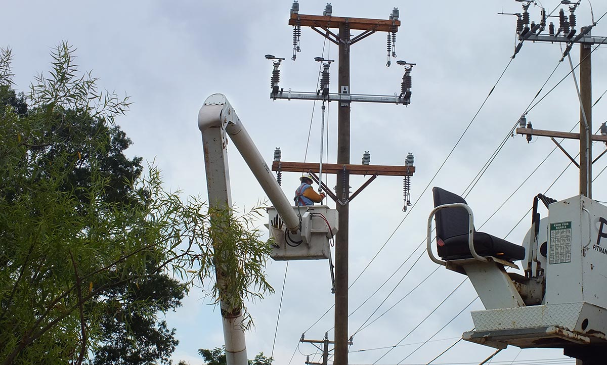 W.A. Chester, L.L.C.