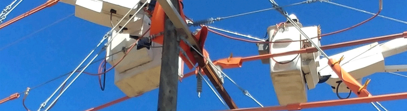 Services : W.A. Chester, L.L.C.